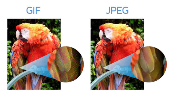 Are You Using the Right Image Format? - GTmetrix