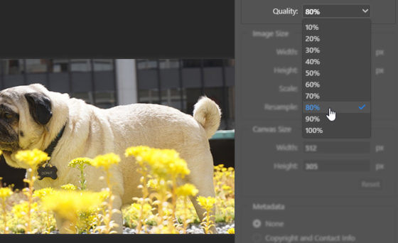 Are You Using the Right Image Format? - GTmetrix